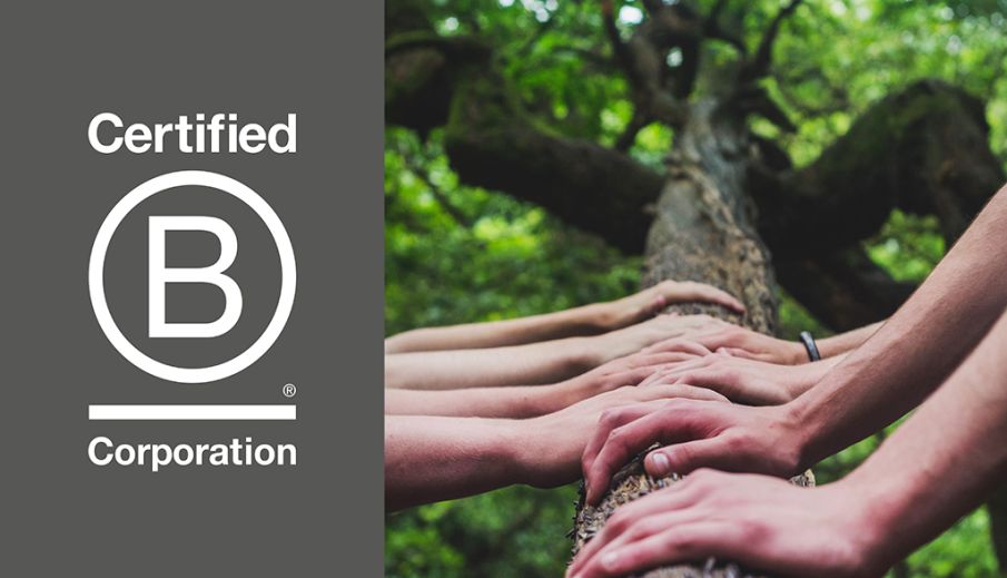 Homepage [www.italgranitigroup.com]